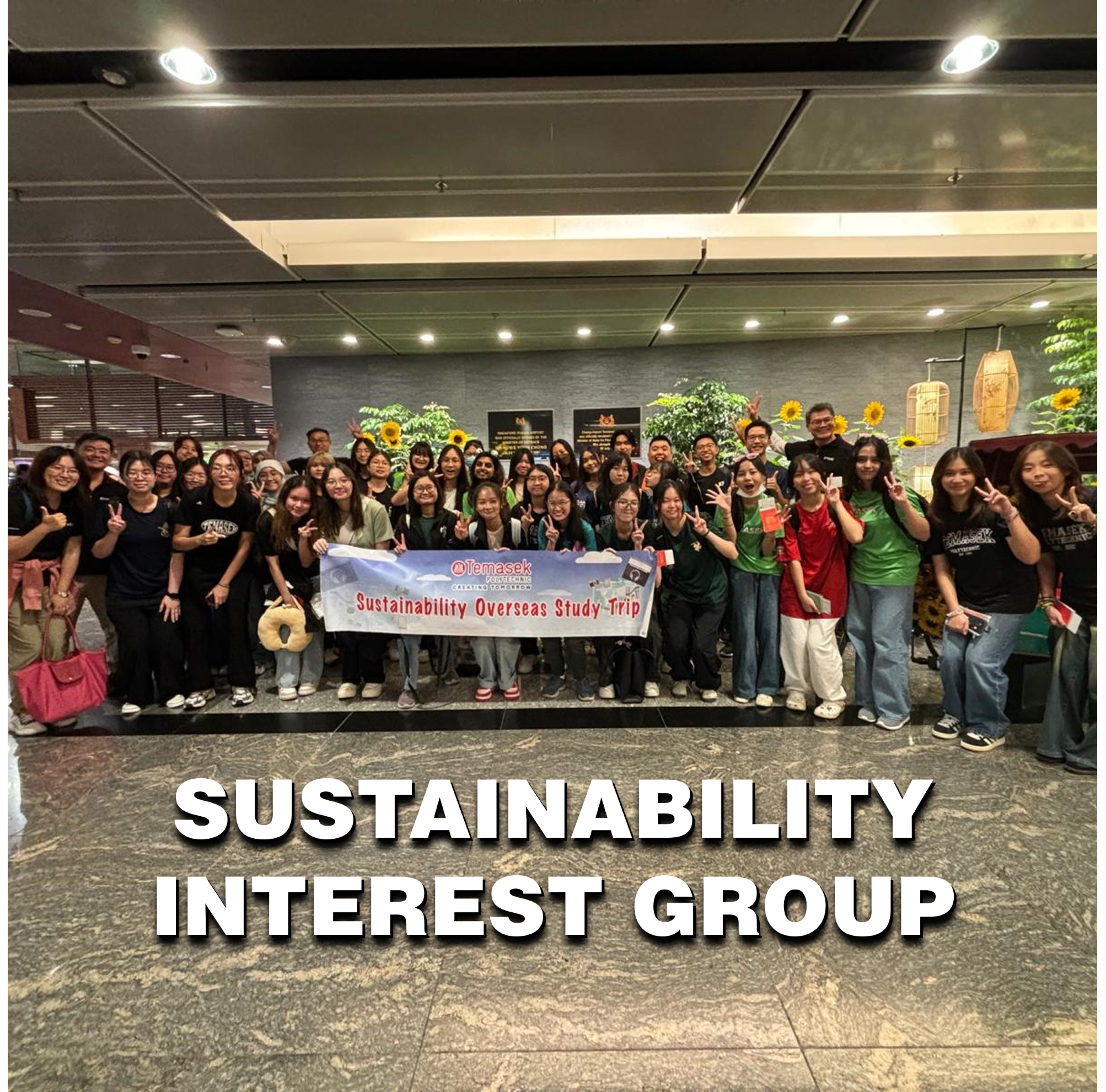 Interest Groups